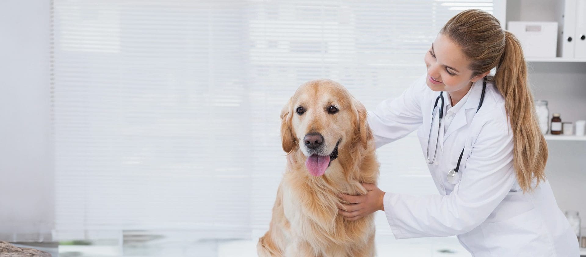 Laboratory Services - Quality Veterinary Laboratory LLC