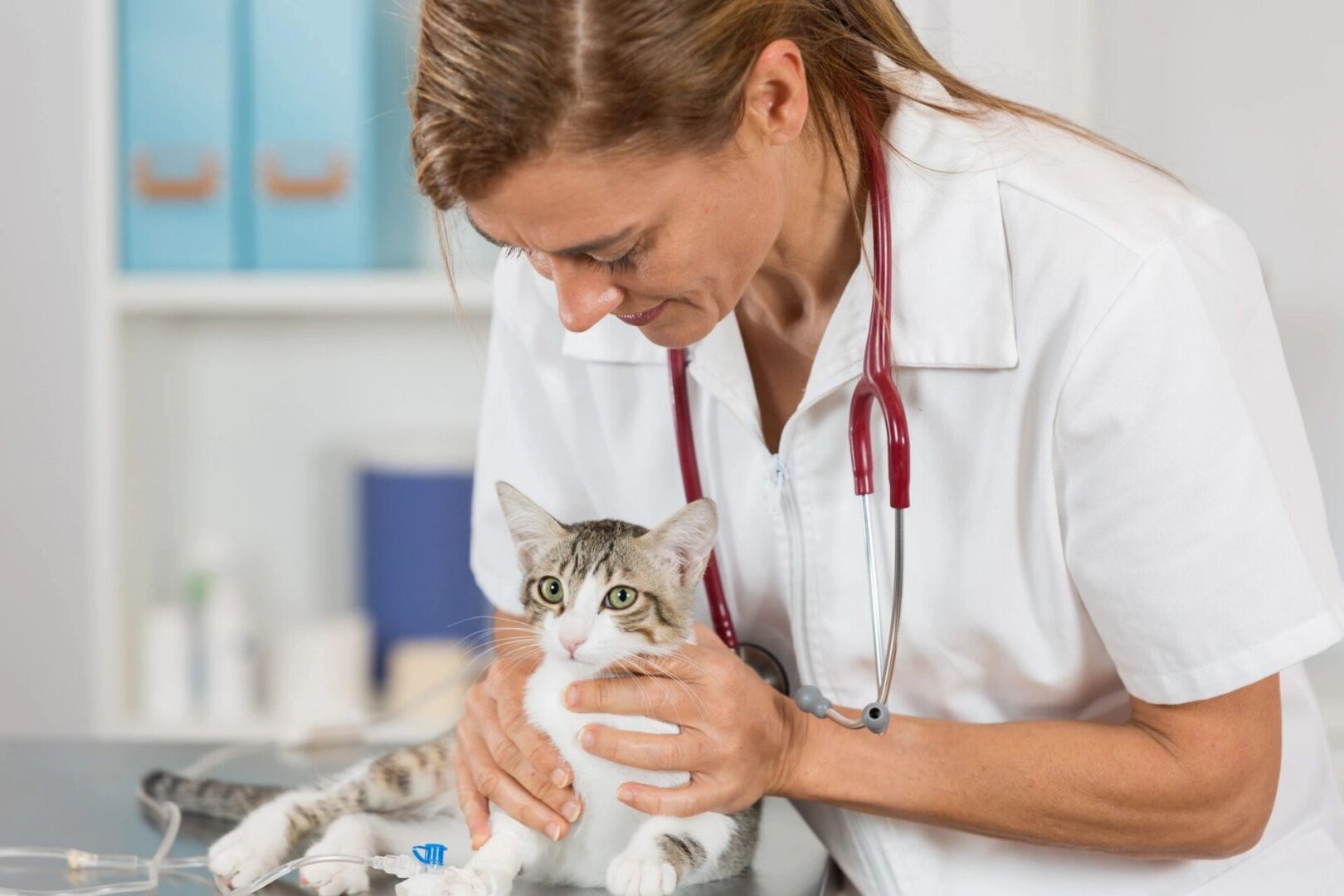 Contact Us - Quality Veterinary Laboratory LLC - Get in Touch