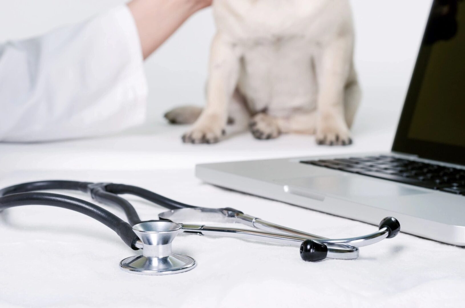 Laboratory Solutions - Quality Veterinary Laboratory LLC
