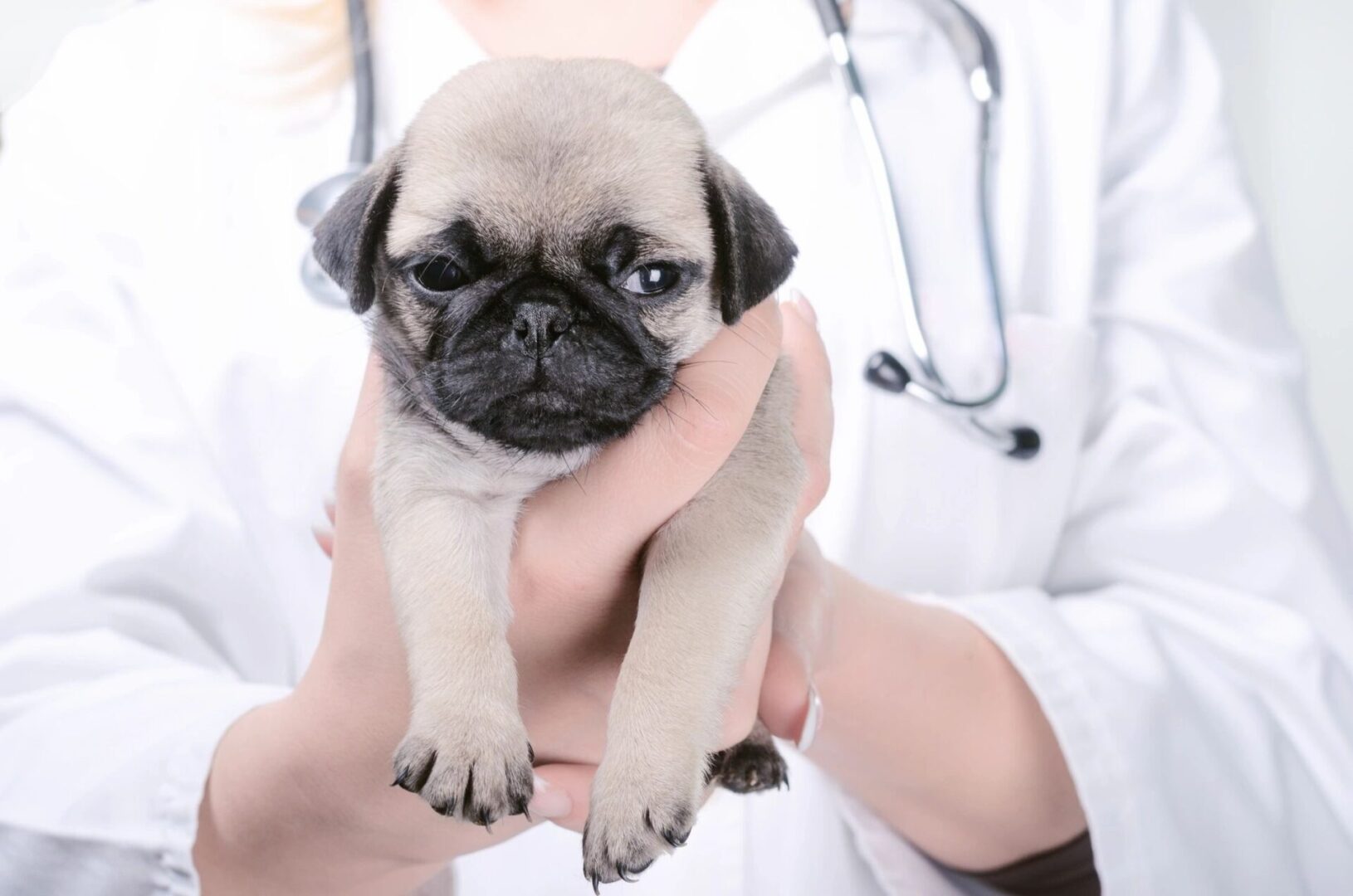 Clinical Laboratory Services - Quality Veterinary Laboratory LLC